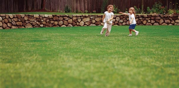 Tips and Schedule for DIY Lawn Care: Mow, Water, and Fertalize