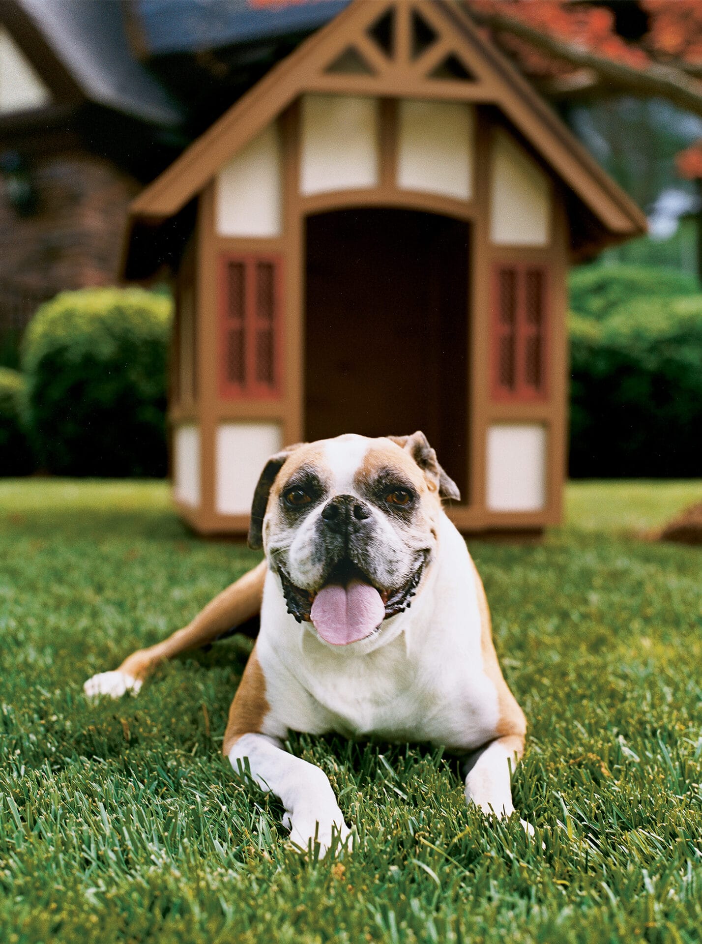 16 Doghouses Like Your House - This Old House
