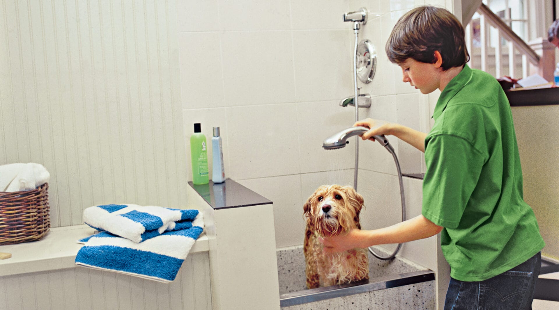 How to Plan a Dog Cleaning Station - This Old House