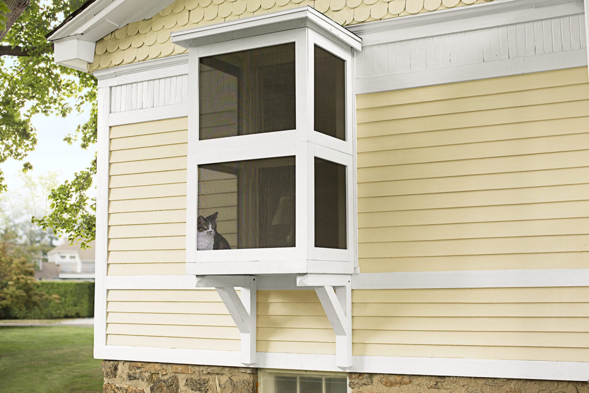 A Step by Step Guide to Building a Perfect Catio - This Old House