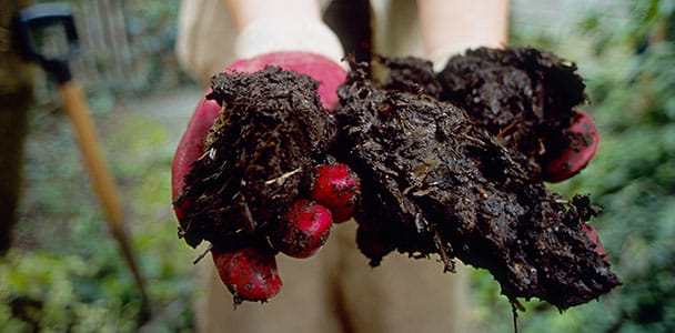 How To Quick Compost in 5 Easy Steps - This Old House