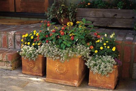 How To Pot a Plant and Create a Container Garden - This Old House