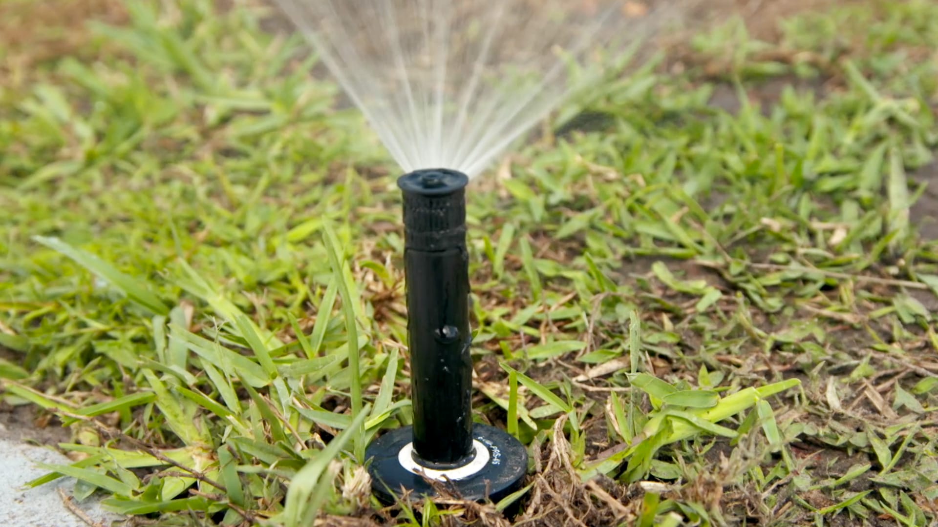 How to Upgrade to a Smart Irrigation System - This Old House