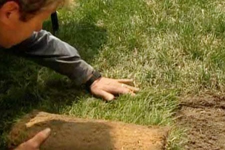 How To Patch a Lawn - This Old House