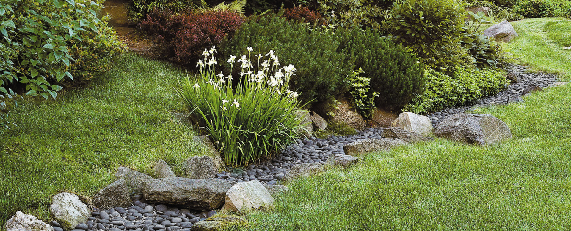 How To Use Landscaping To Deal with Storm Water - This Old House