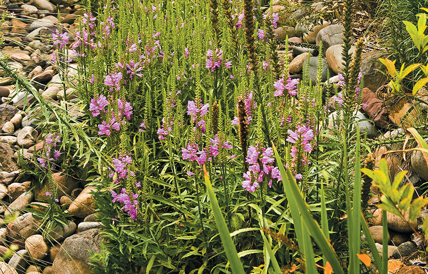 How to Create a Drainage Swale - This Old House